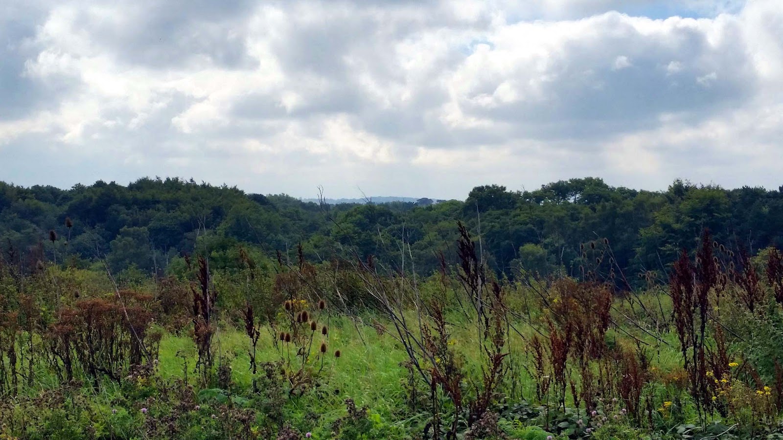 My Adventures 3: South Weald Circular Walk 19th September 2017