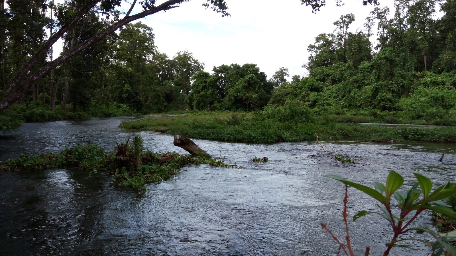 Beauty of Northbengal: Chalsa is a small town situated just on the foot ...