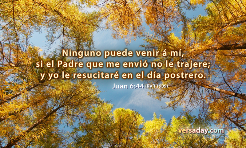 Aprendiendo la Sana Doctrina: 01/05/13