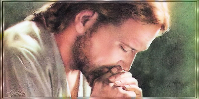 Corazón de Jesús en Vos Confío: Jesús reza siempre por nosotros