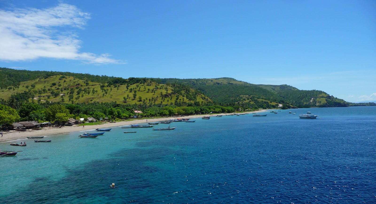 Dean in Dili: Adventures in East Timor: Atauro Island