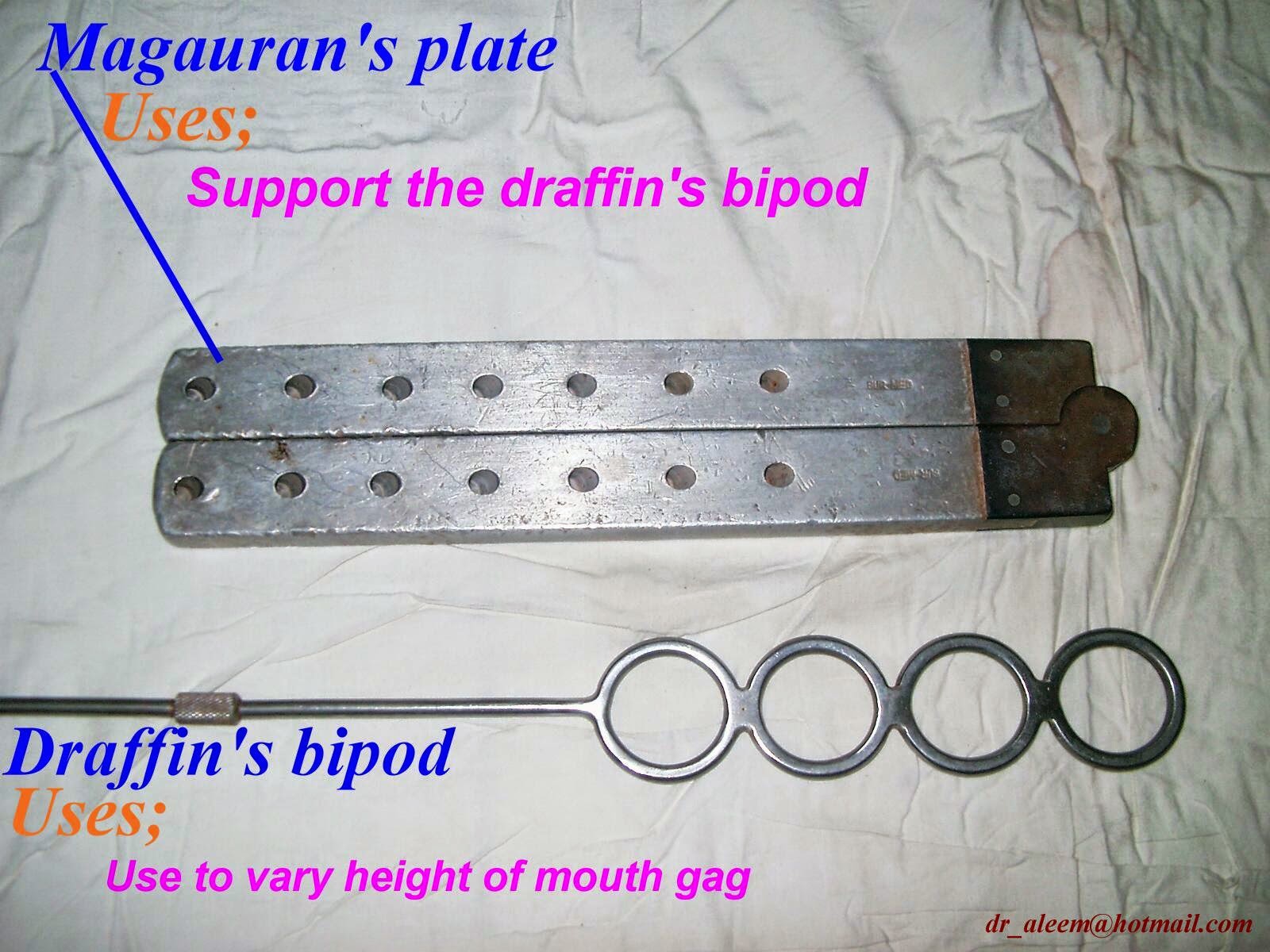 Undergraduate Medicine