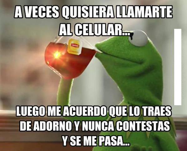 Memes de la rana rene: 6 Memes de la rana rene para facebook 2016