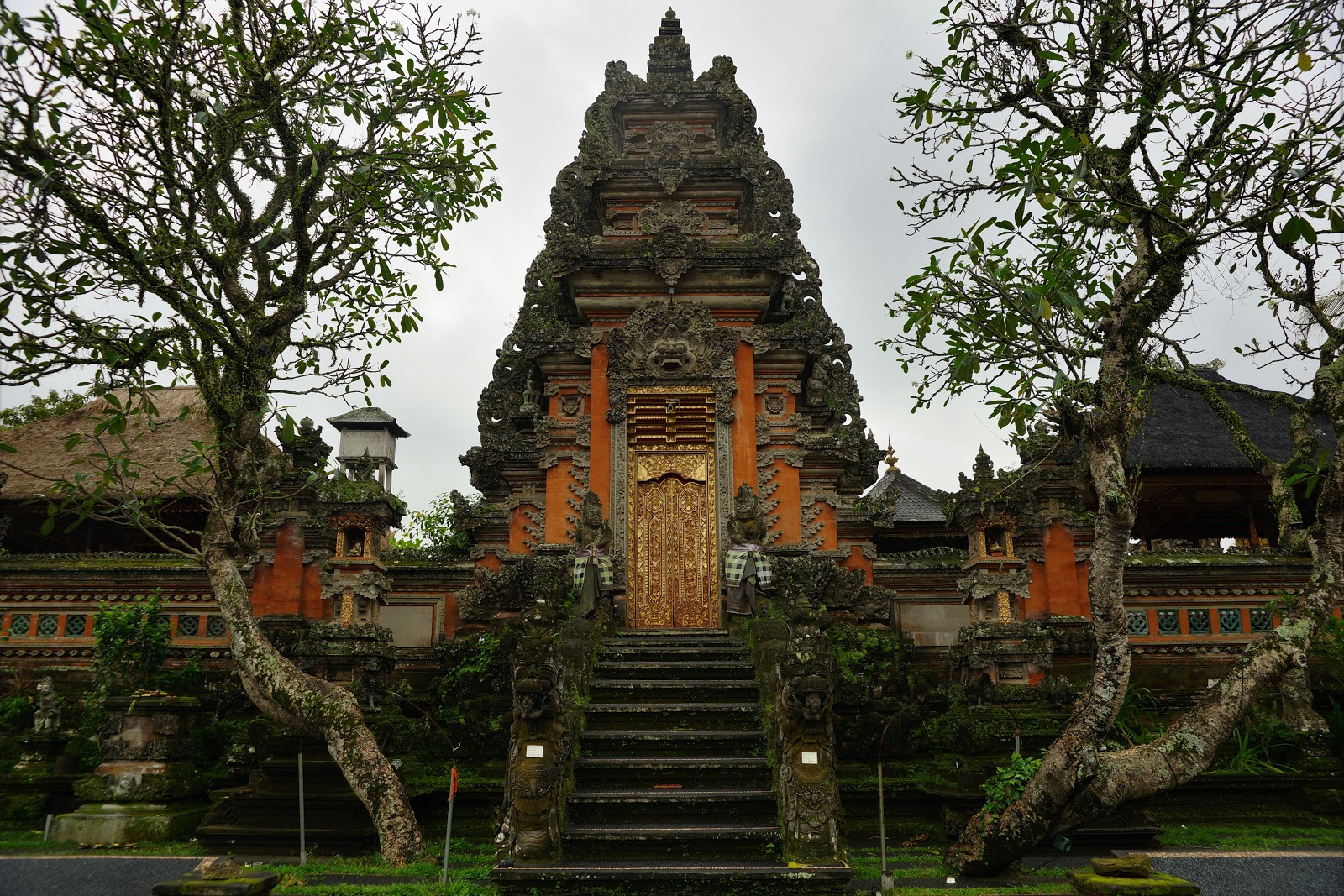 Family Travel Blog : Top 5 Things to do in Bali for the Trip of a Lifetime