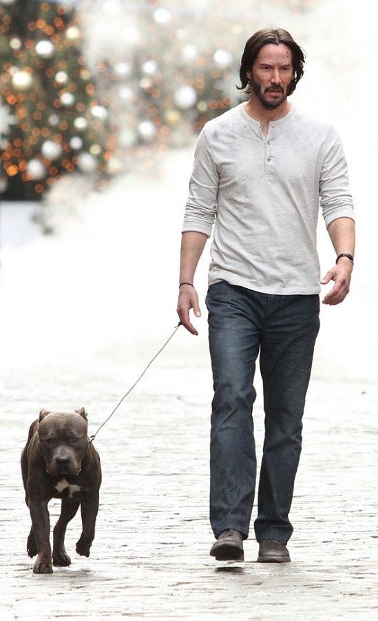 VJBrendan.com: Dudes With Dogs... Keanu Reeves
