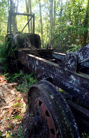 Desolation Florida: Adventures Across the Border: Okefenokee Swamp from ...