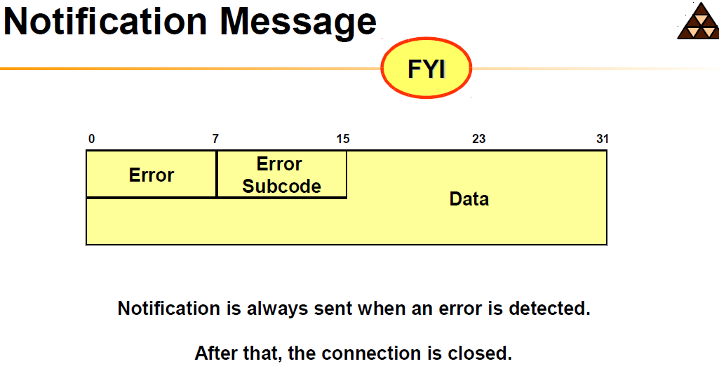 Networking And Scripting : Packet Formats to Remember