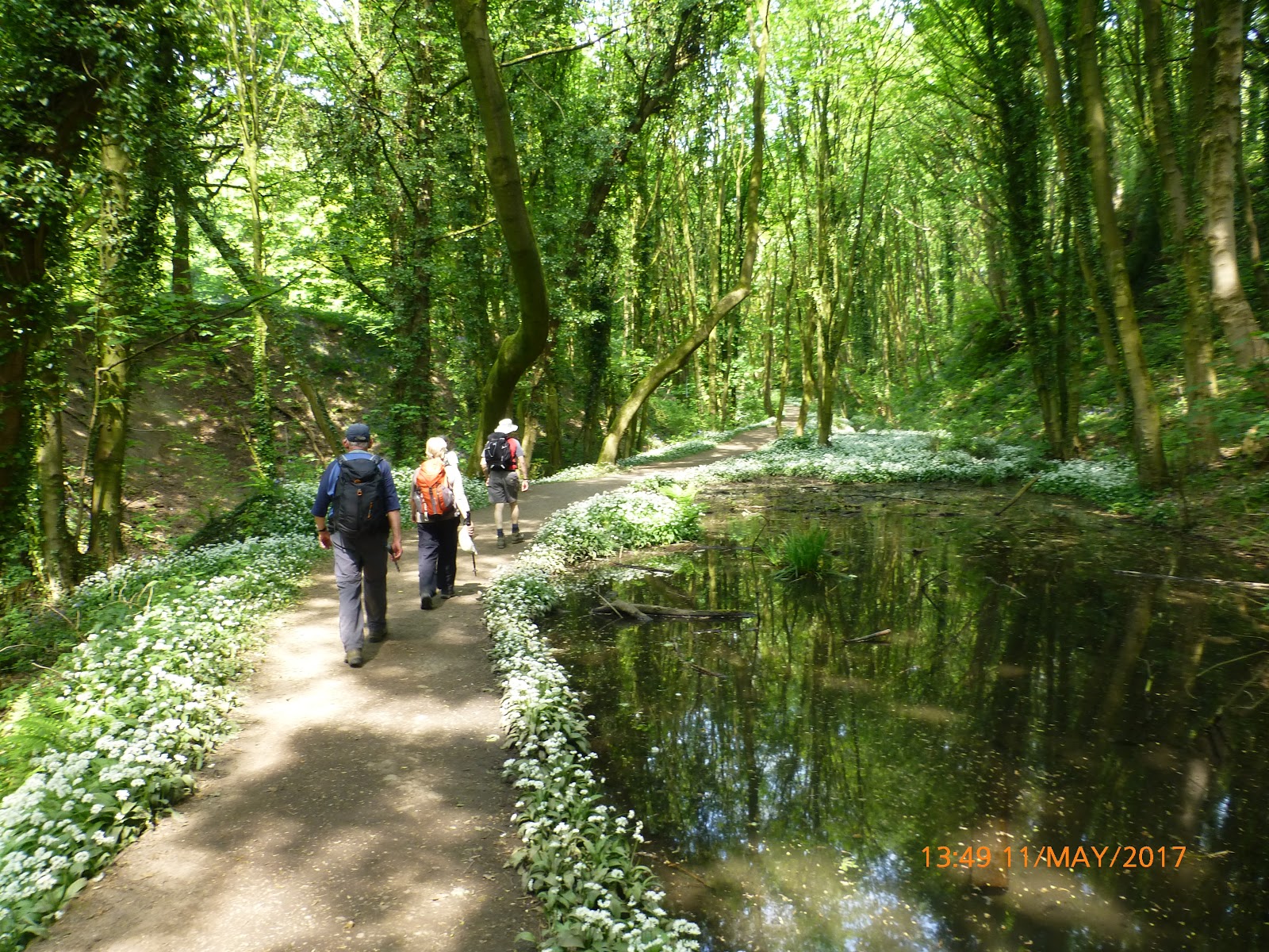 Harris Hikers: A Bluebell Walk Around Parbold 11th May 2017