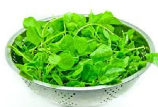 3 Cara Budidaya Bayam Cabut Yang Baik