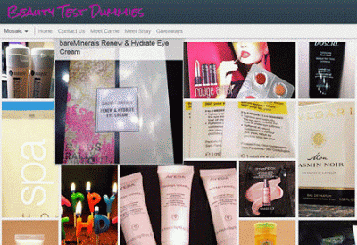 Beauty Test Dummies: About Us -- The Beauty Test Dummies Blog Concept