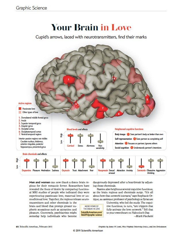 Mattie's Life: An Array of Various Implications of Insanity