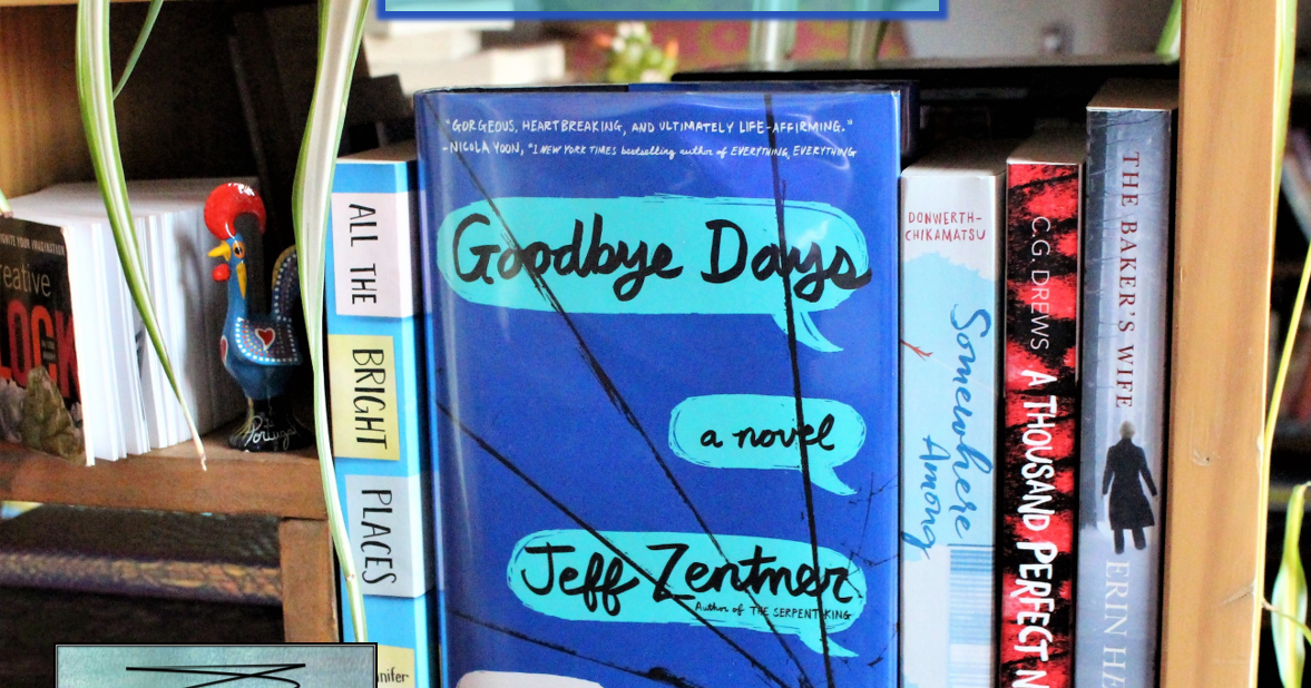 Word Storm: Book Review: Goodbye Days