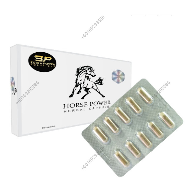 Male Enhancement Station: Horse Power Herbal Capsule - Your Life Choice ...