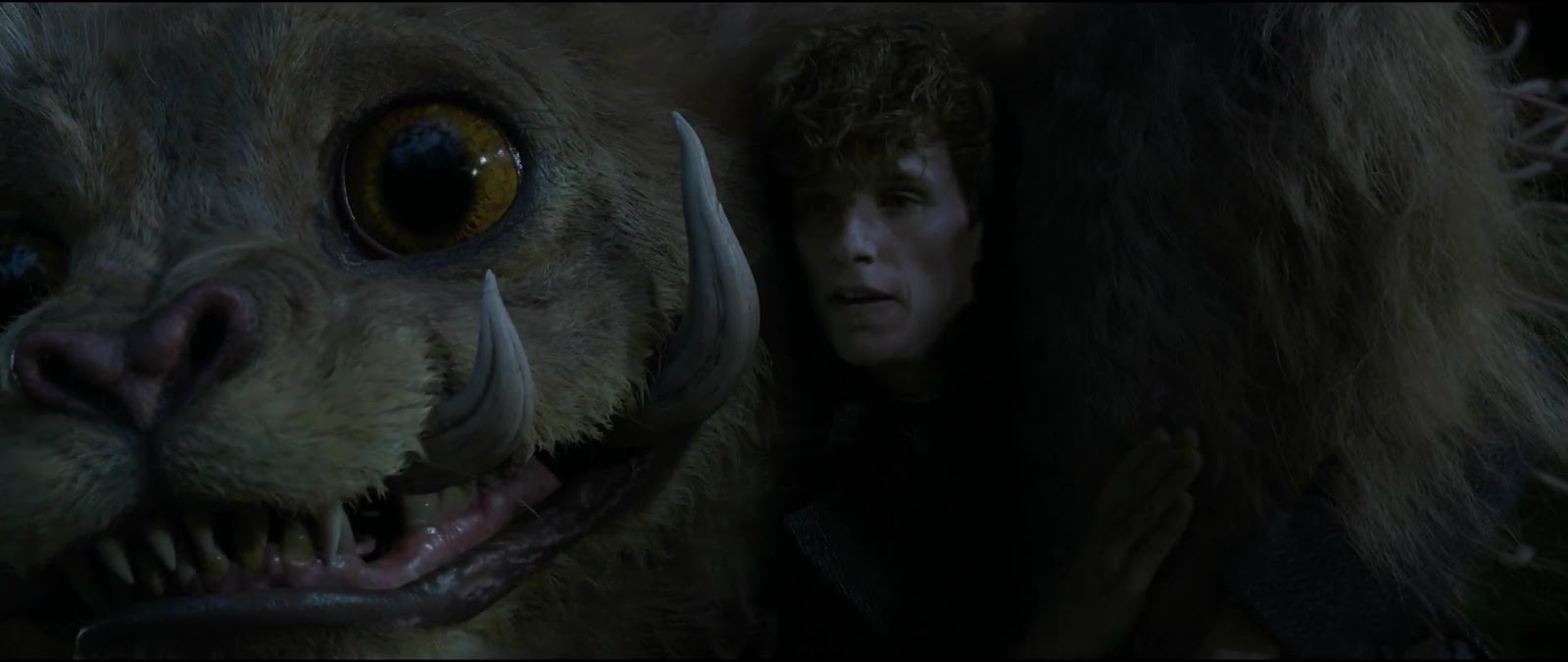 Addicted to Eddie: Newt’s New Menagerie - New featurette from Warner ...