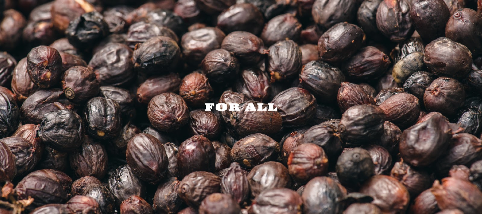 Subko Coffee Roasters – Packaging Of The World