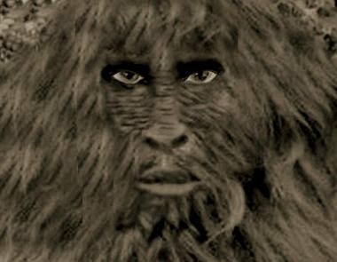 Phantoms and Monsters - Real Eyewitness Cryptid Encounter Reports