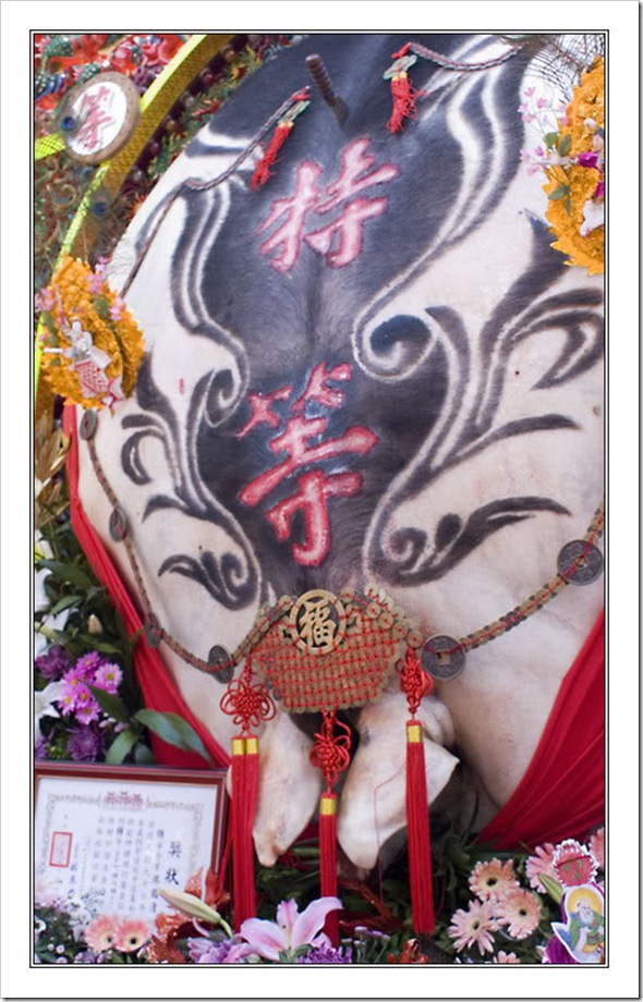 Pix Grove: Big Pig Festival in Taiwan