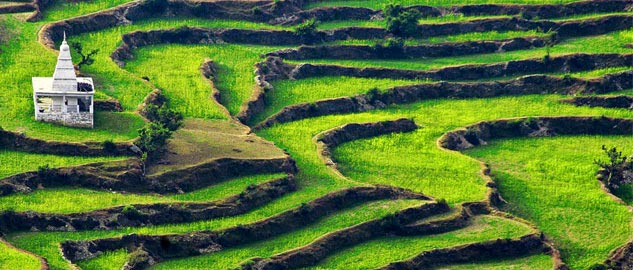 Ranikhet: A Must Visit Tourist Destination Before You Die