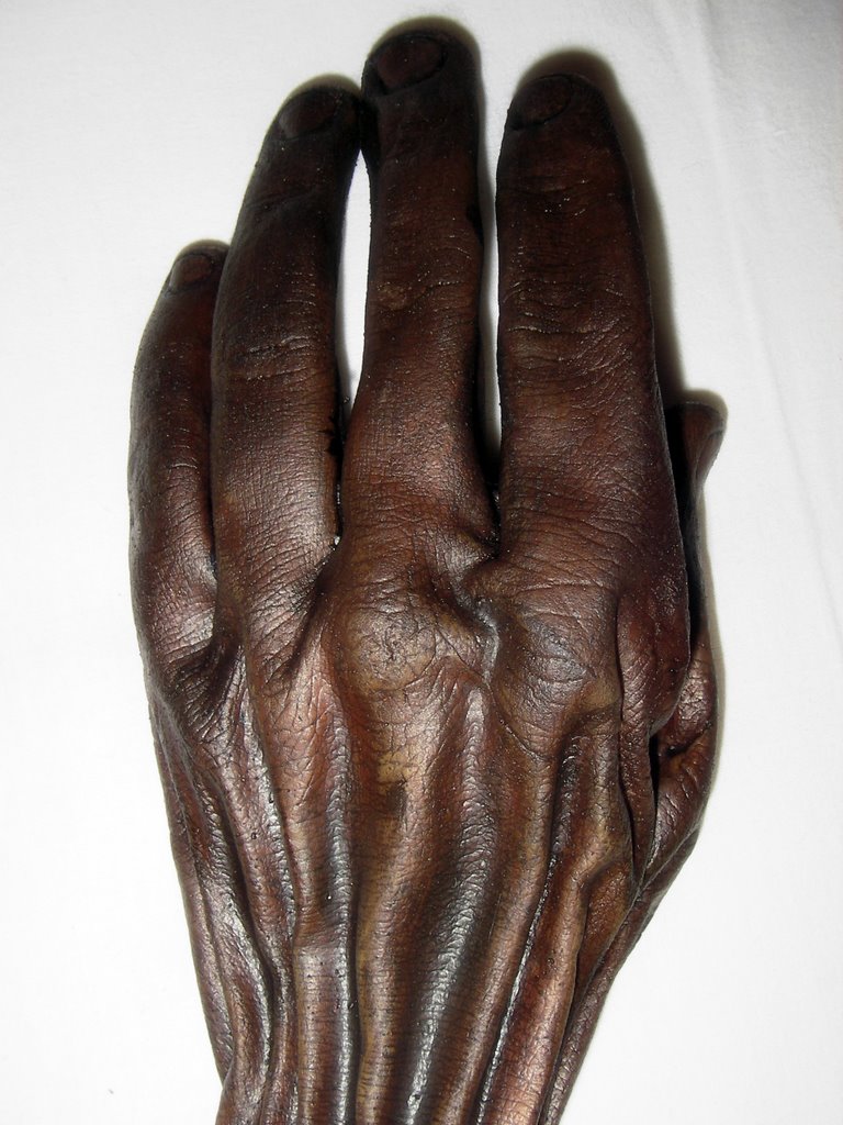 Propnomicon: Preserved Hand