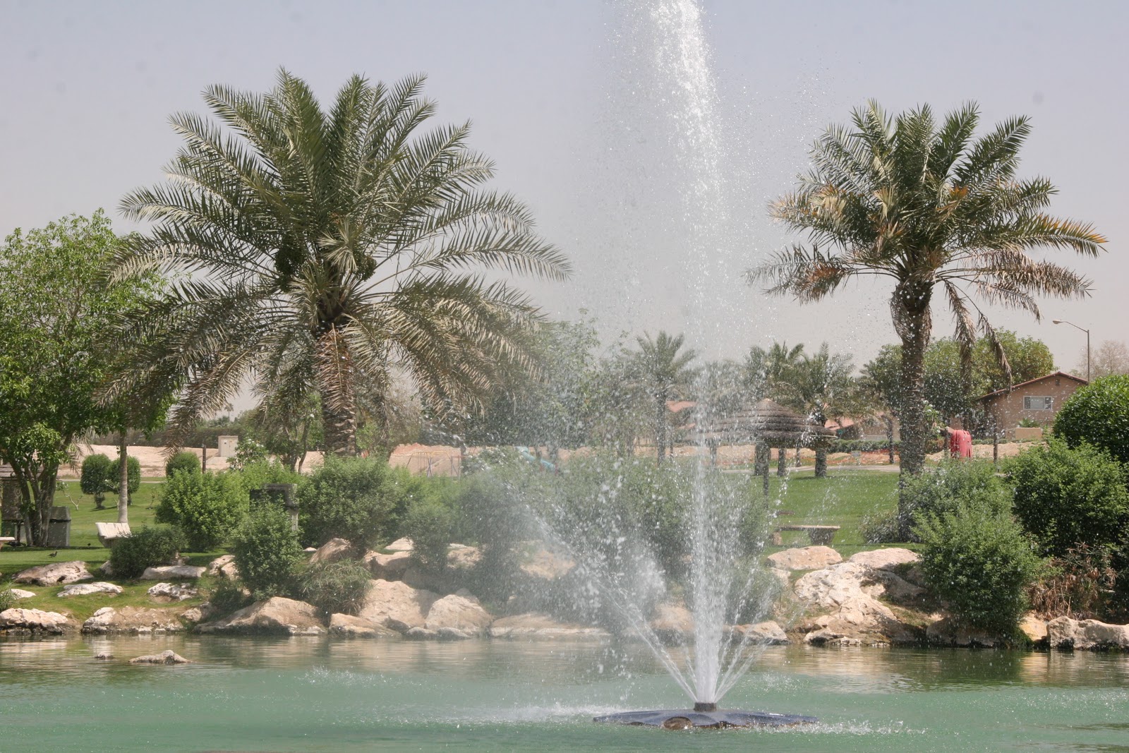 Saudi Scenes: Dhahran Compound