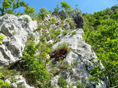Le montagne alle quali appartengo: Spigolo del Glemine (710 m.s.l.m.)