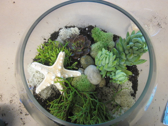 designing forty four: Terrarium Workshop