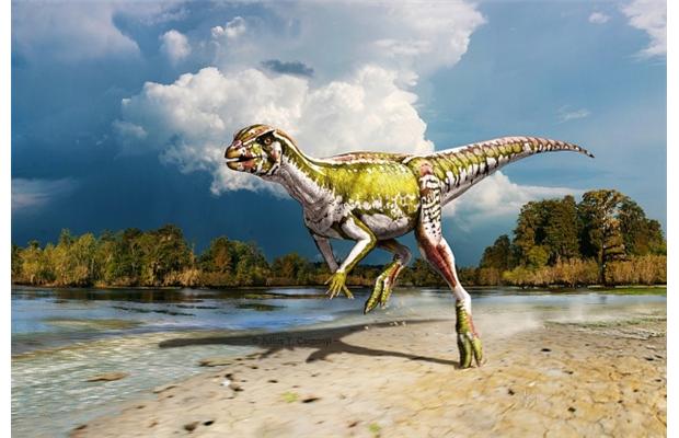 TIERRA DE DINOSAURIOS: Un nuevo dinosaurio herbívoro encontrado en ...