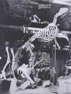 Prehistoric Beast of the Week: Hadrosaurus: Beast of the week