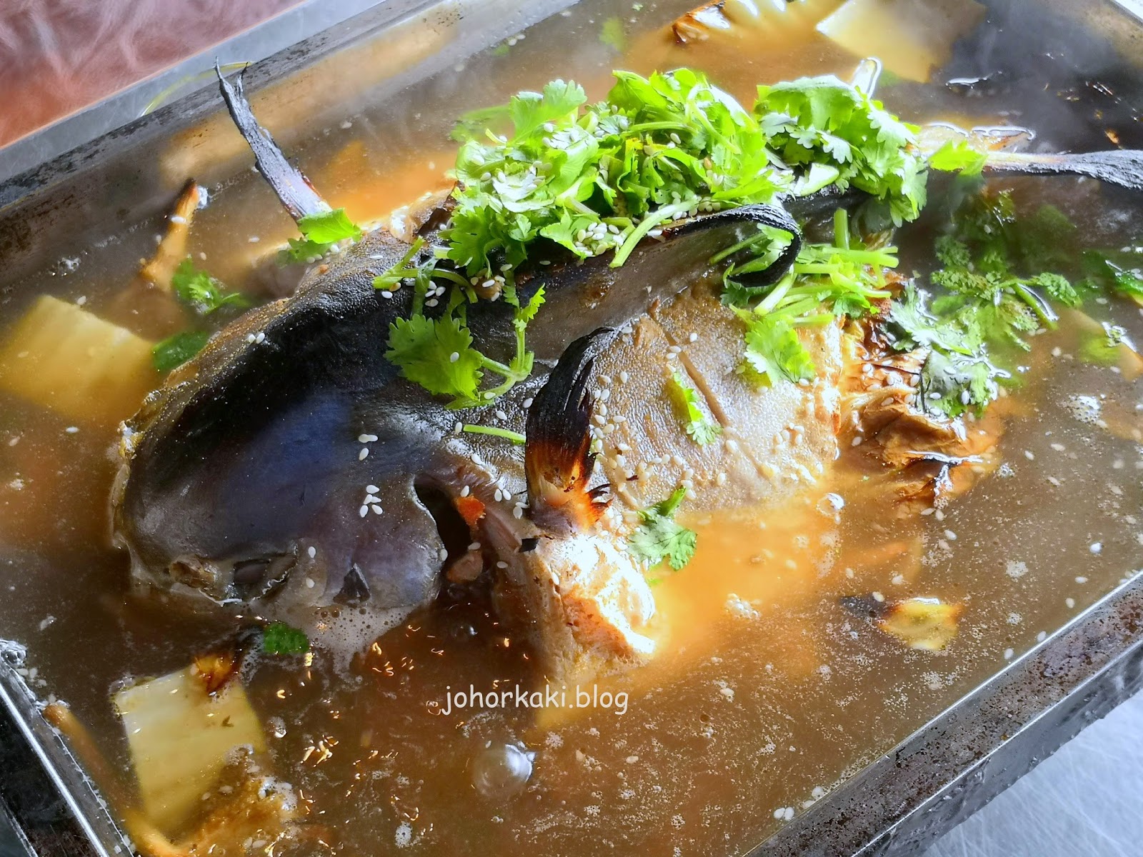 Fat Fish 肥鱼 in Taman Melodies Johor Bahru |Tony Johor Kaki Travels for ...