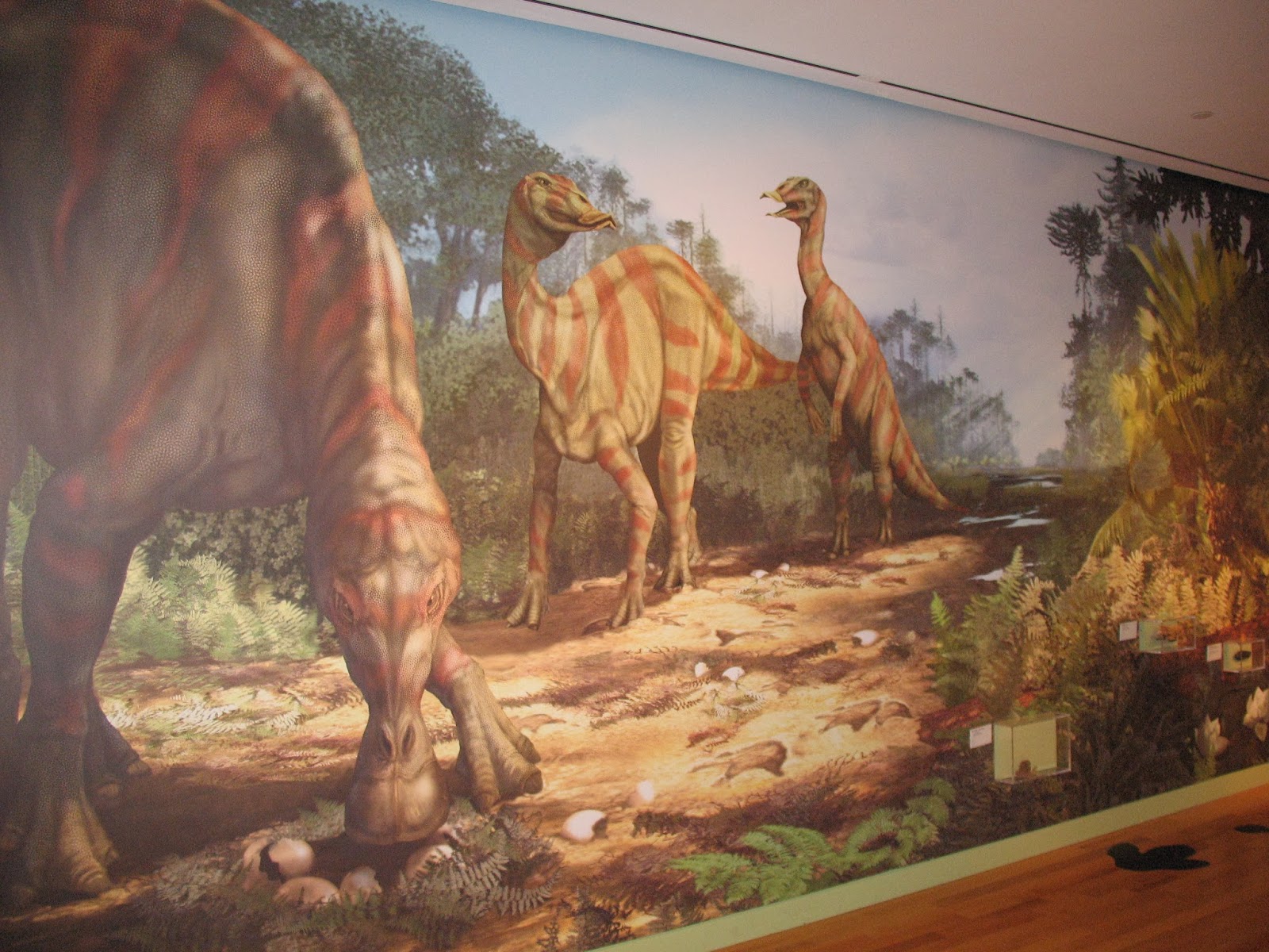 A Review of The Morris Museum | The Jersey Momma