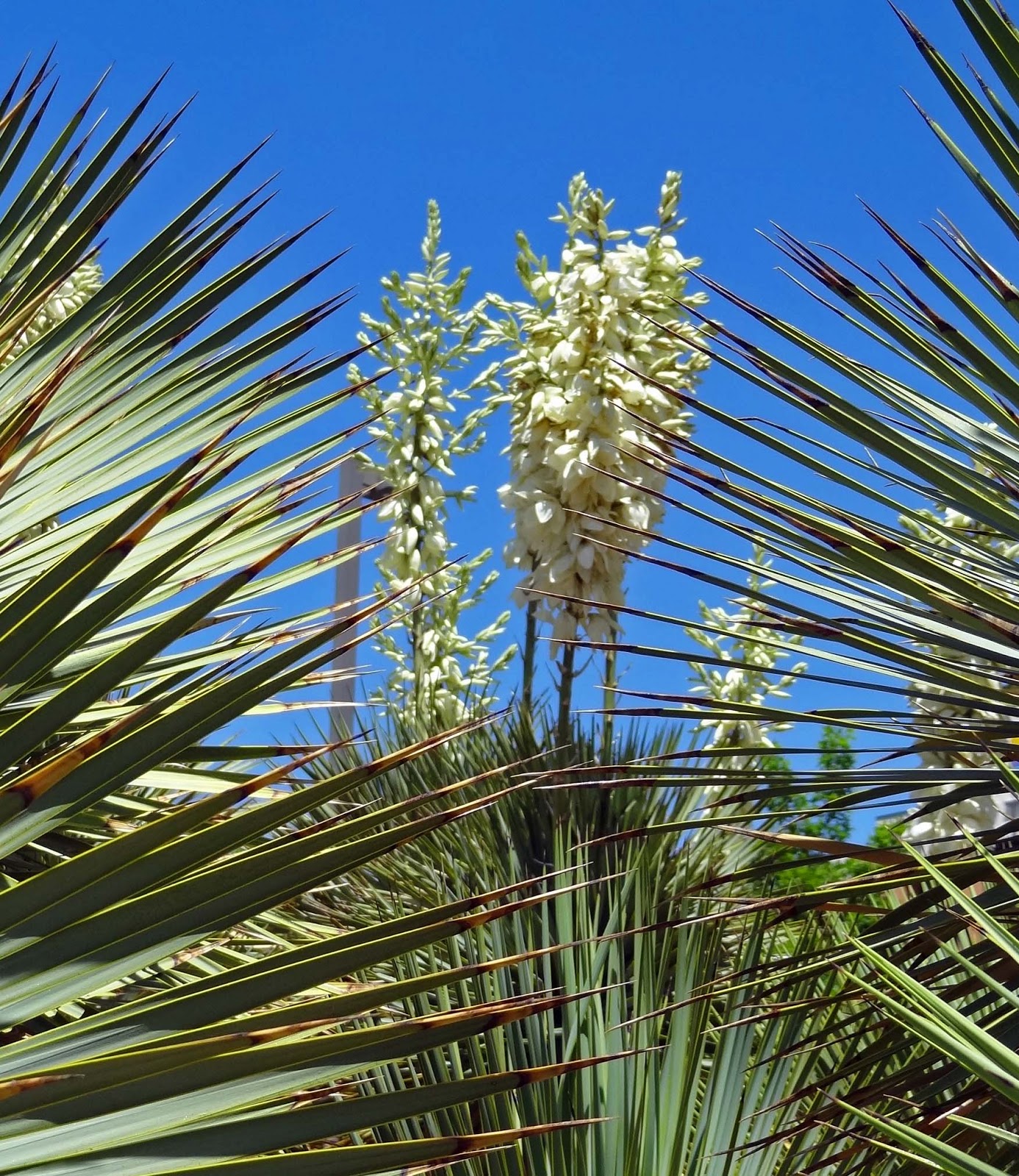 Joe's Retirement Blog: May 2013