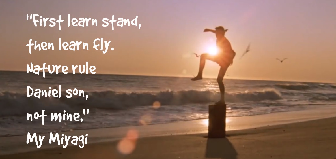 The Karate Kid Blog: First learn stand