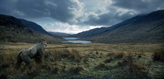 COFER SPS11 RESEARCH: 03.18.11 : Artist Entry : George Logan