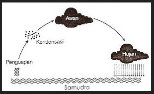 Definisi Hujan dan Proses Terjadinya Hujan - Ilmu Pengethuan Sosial