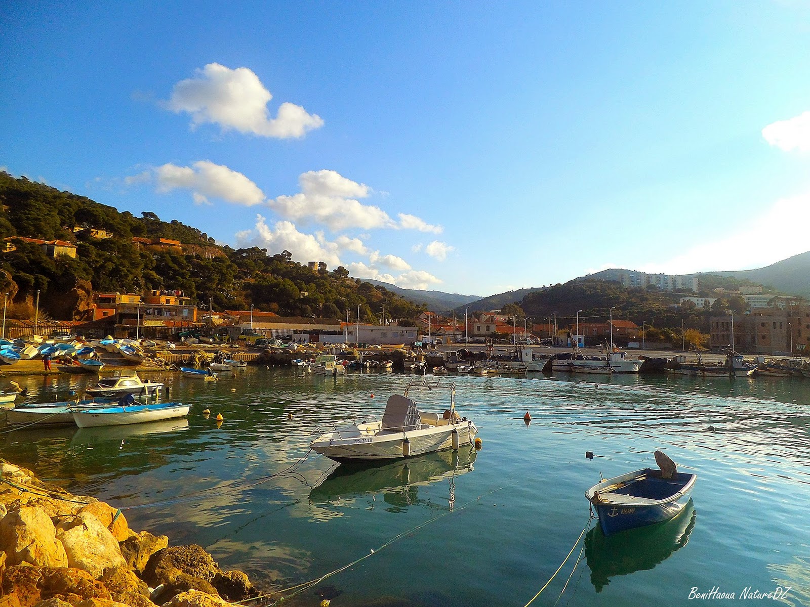 BENI HAOUA Nature DZ: BENI HAOUA Nature DZ