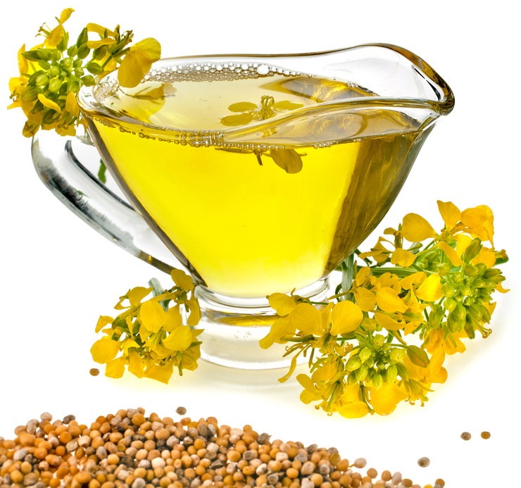 OLEJ RZEPAKOWY - "OLIWA PÓŁNOCY" | Zdrowie ... czyli dobre życie