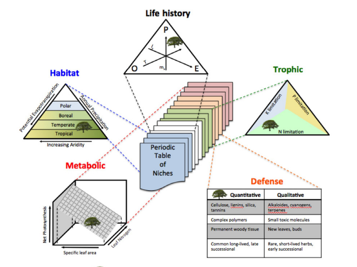 Ecological Niche Diagram