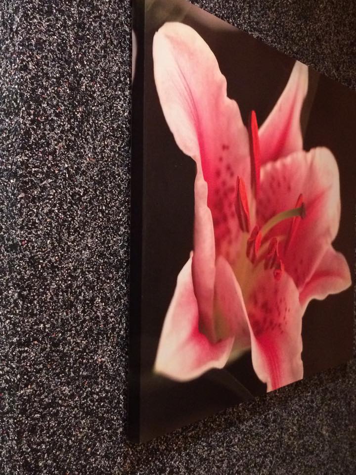 Tapetul lichid din matase naturala ~ Preturi Manopera Amenajari Interioare