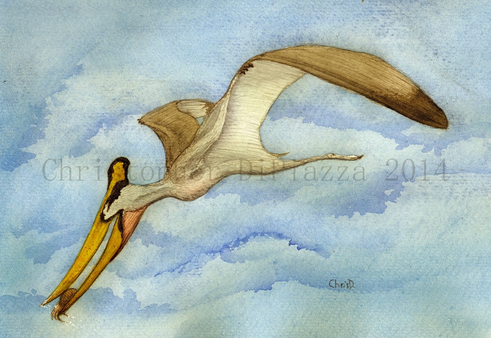 Prehistoric Beast of the Week: Dawndraco: Prehistoric Animal of the Week