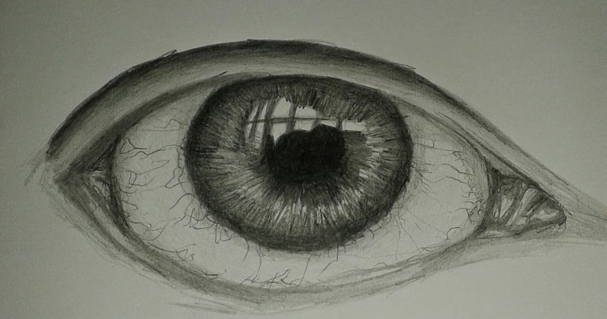 29+ Paling Top Contoh Gambar 2 Dimensi Yang Mudah