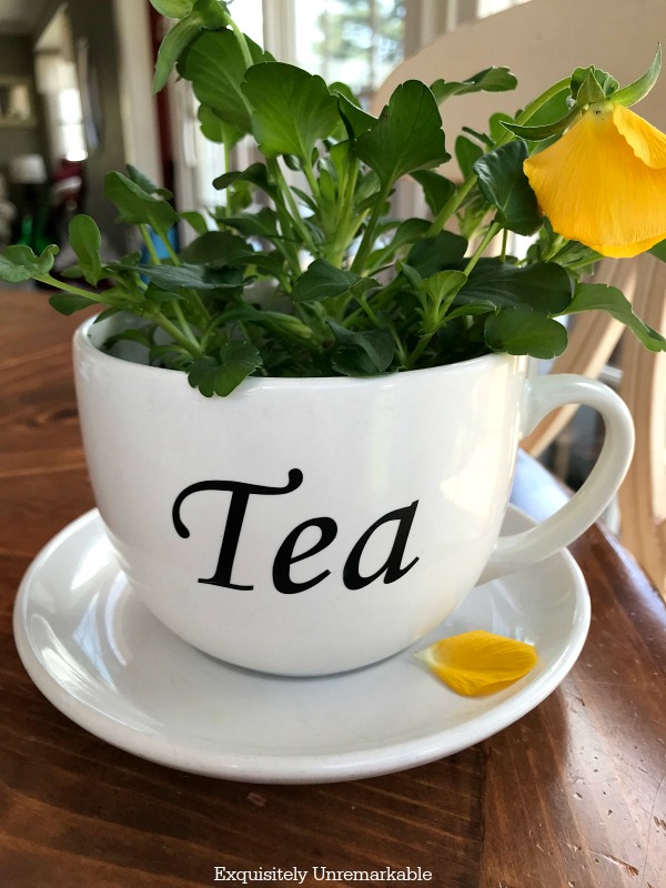 Sunshine In A Cup | Exquisitely Unremarkable