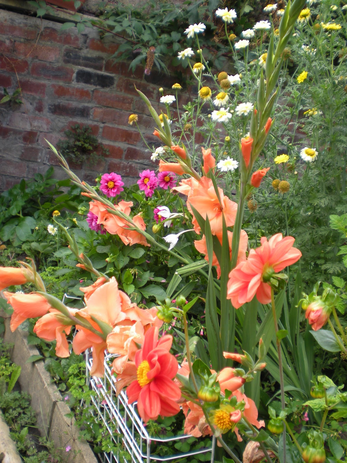 memori di bumi Eropah: aktiviti musim bunga...2011...di UK