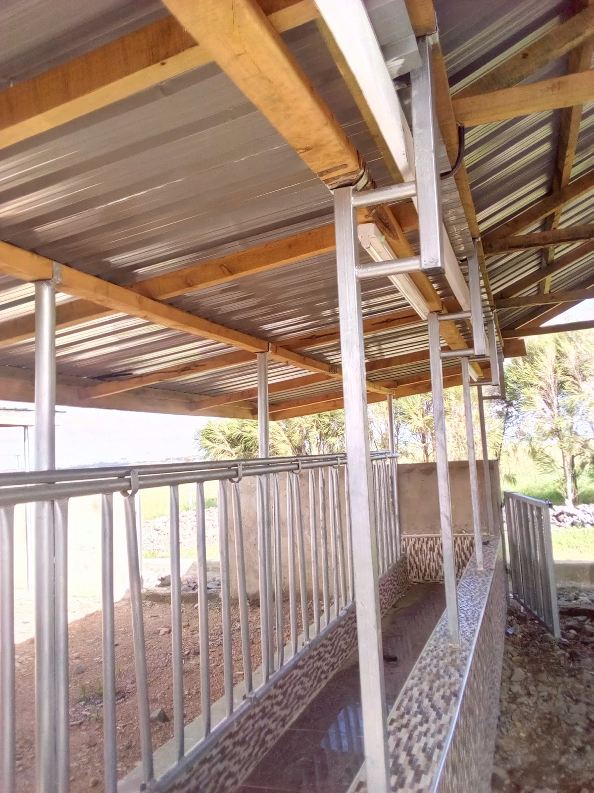 ZERO GRAZING STRUCTURES (STANDARD) | DTCA