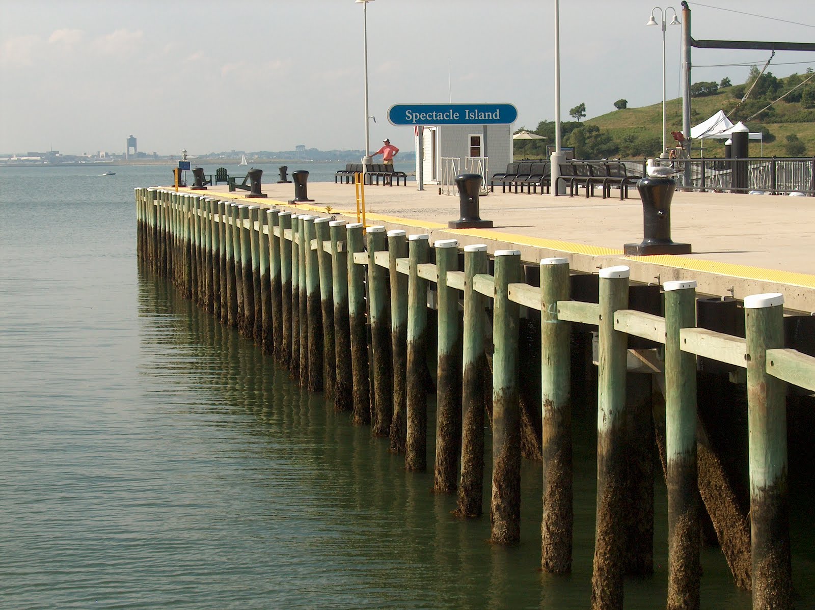 Finding My Kd: Lab Outing: George's Island and Spectacle Island