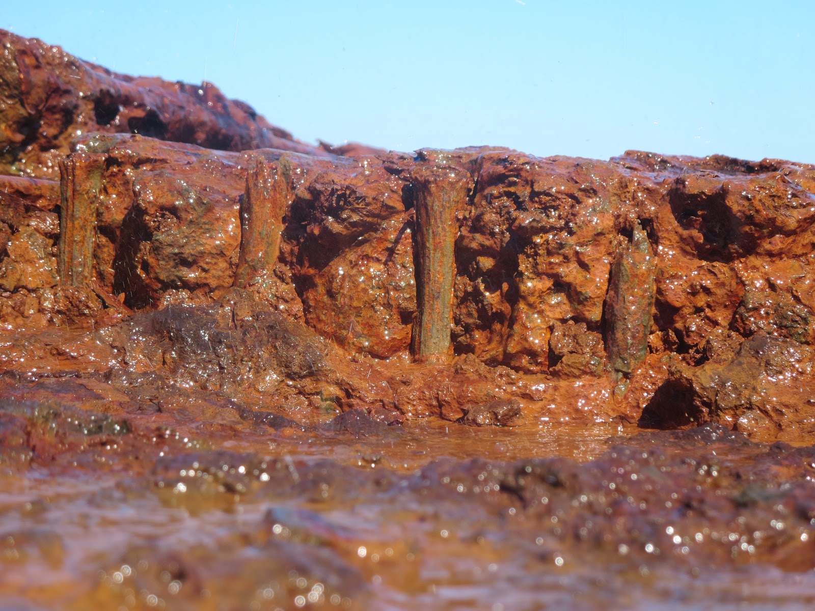 The Civil War Picket: A trip to the CSS Georgia recovery site: Nine ...