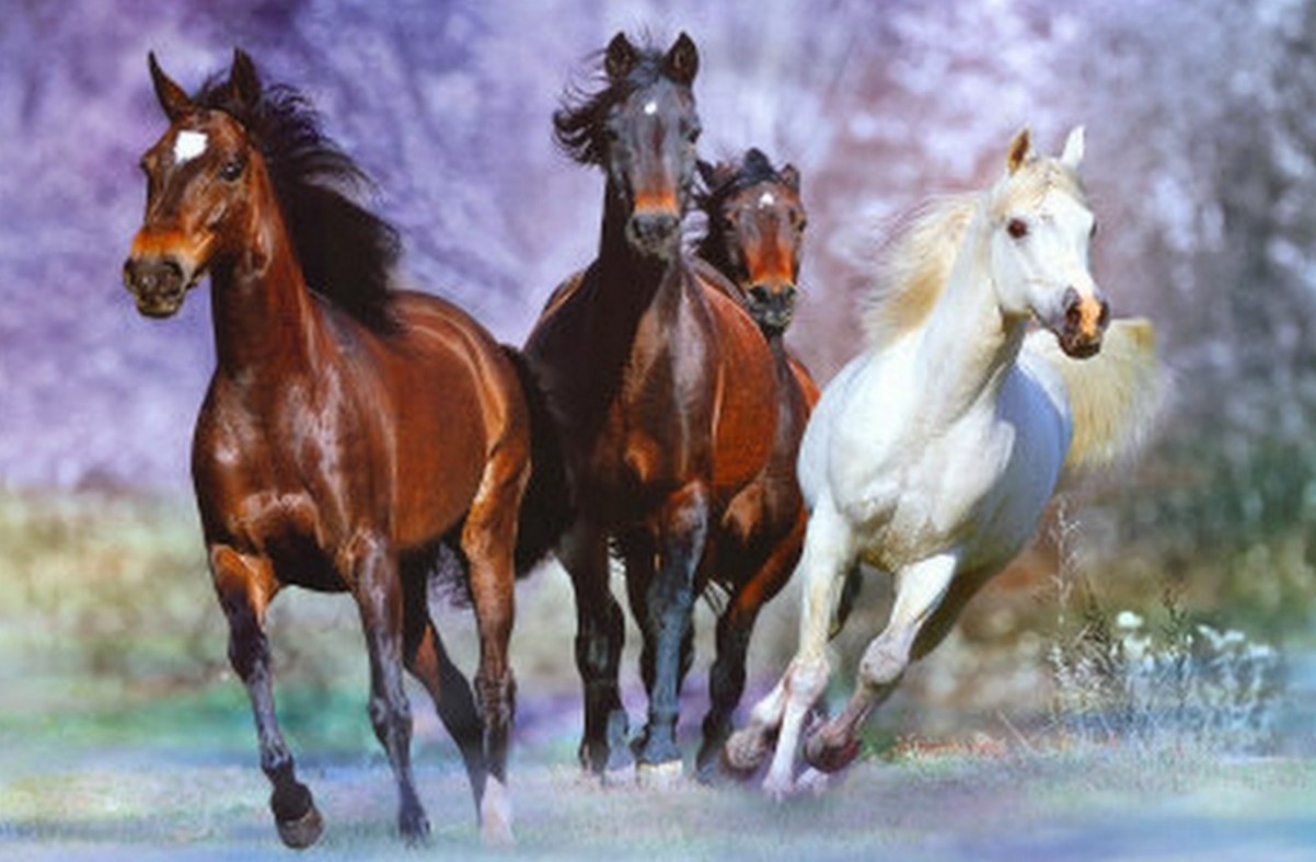 EL ARTE Y ACTIVIDAD CULTURAL: CUADROS DE CABALLOS