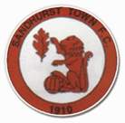 Pie and Mushy Peas: Sandhurst Town FC