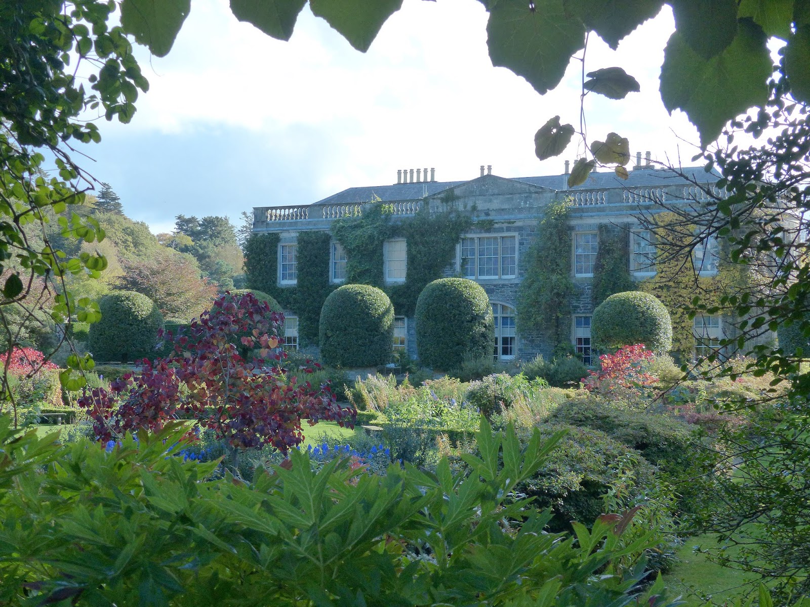 Birding For Pleasure: THROUGH MY LENS - Walk with Neil Porteous at ...