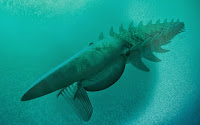 Prehistoric lobster was the size of a man