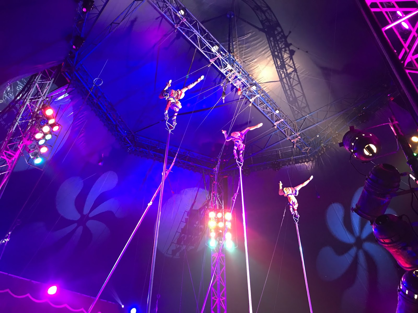 The Moscow State Circus Is In Newcastle | Newcastle Family Life